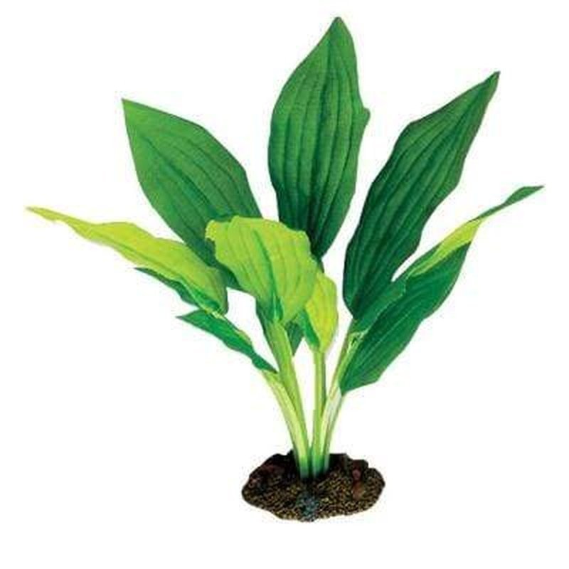 Aqua One Amazon Broad Leaf Silk Plant - AquaticSupplies.com.au ...