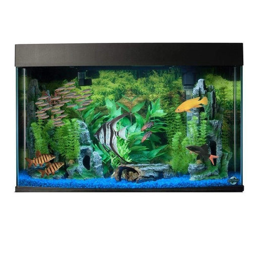 Medium & Large Aquariums — Aquatic Supplies Australia